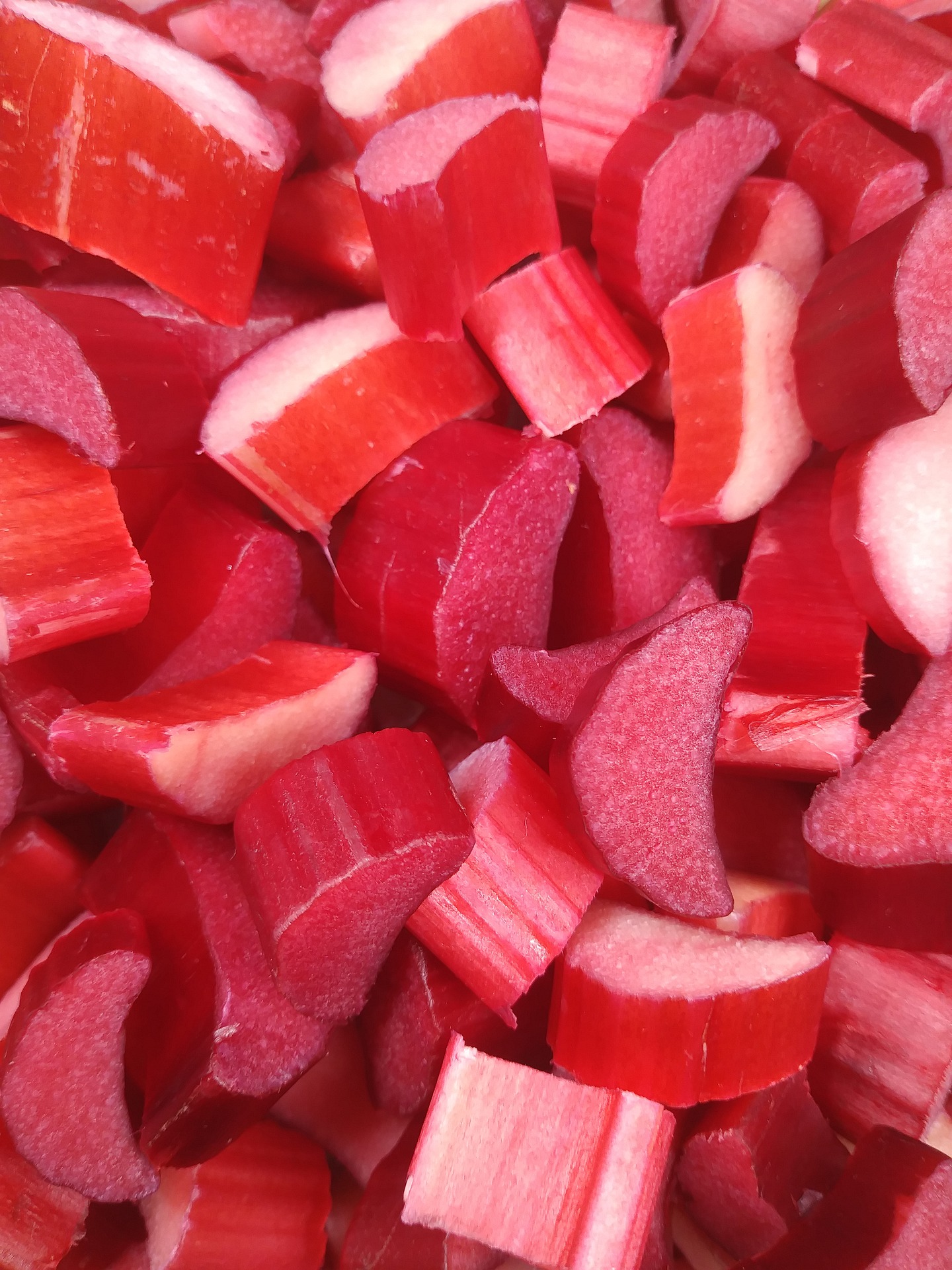 Truly British Winter Rhubarb - Botany Karen